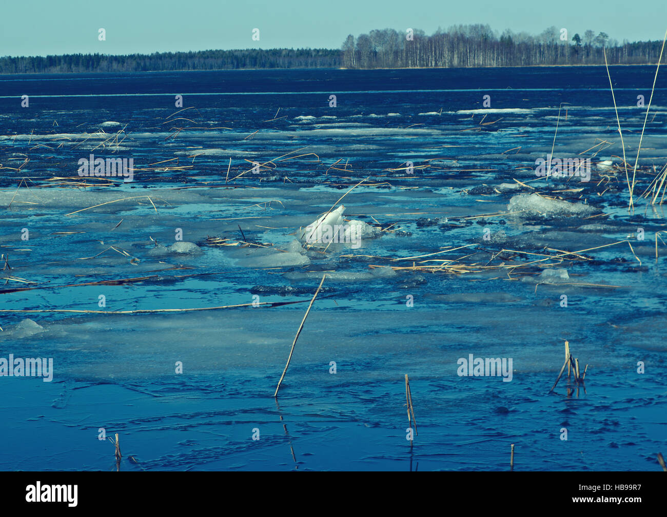 spring flooding on the lake Stock Photo - Alamy