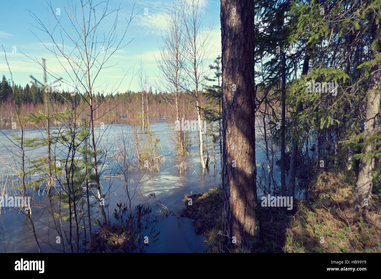 Snowy spring landscape Stock Photo - Alamy