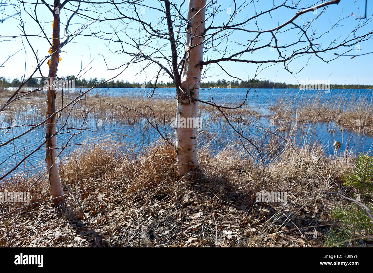 Spring flooding on the lake Stock Photo - Alamy