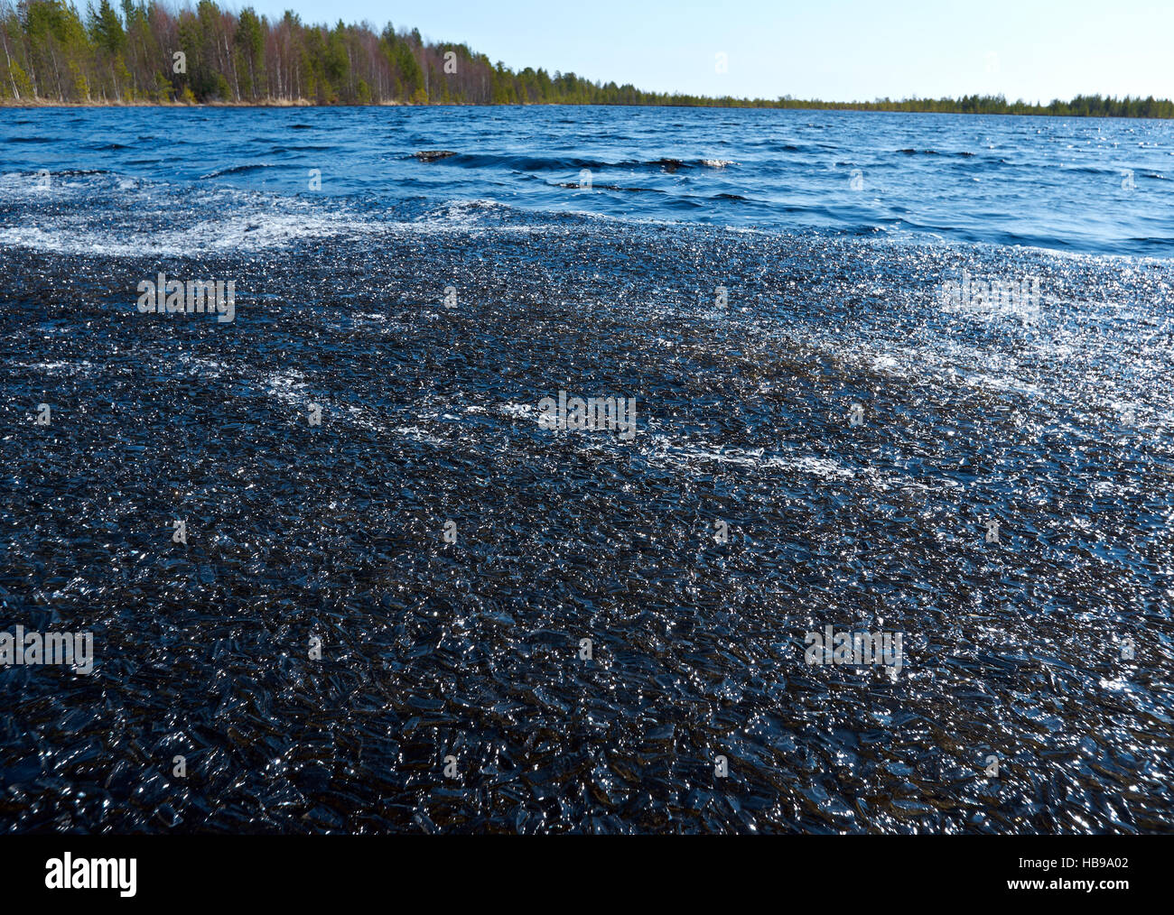 icy slush on the water of the lake Stock Photo - Alamy