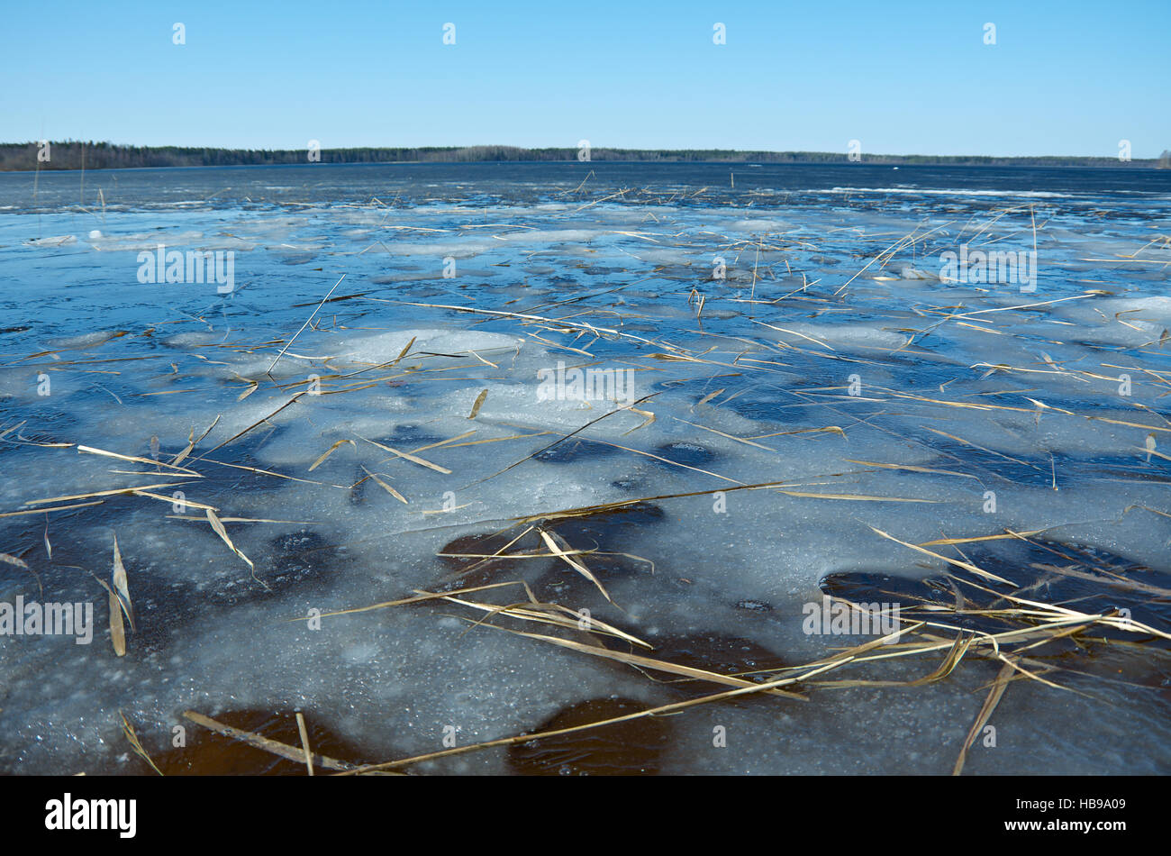 spring flooding on the lake Stock Photo - Alamy