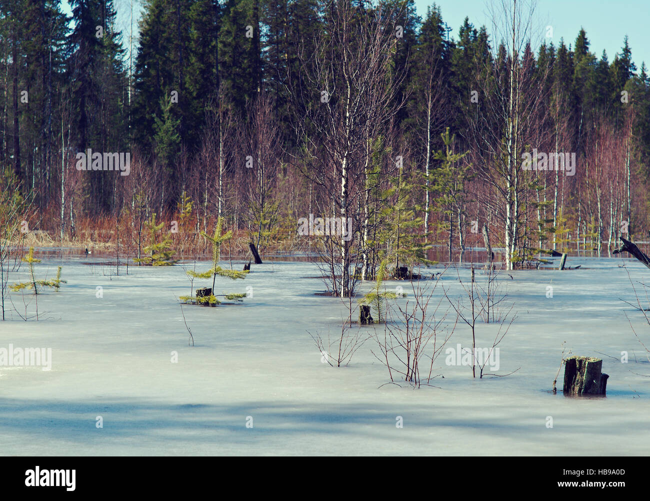 Snowy spring landscape Stock Photo - Alamy