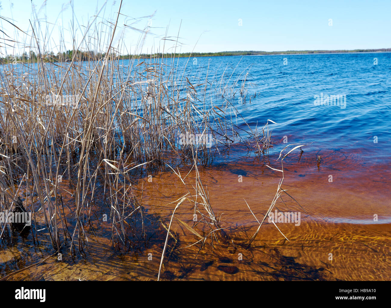 Spring flooding on the lake Stock Photo - Alamy