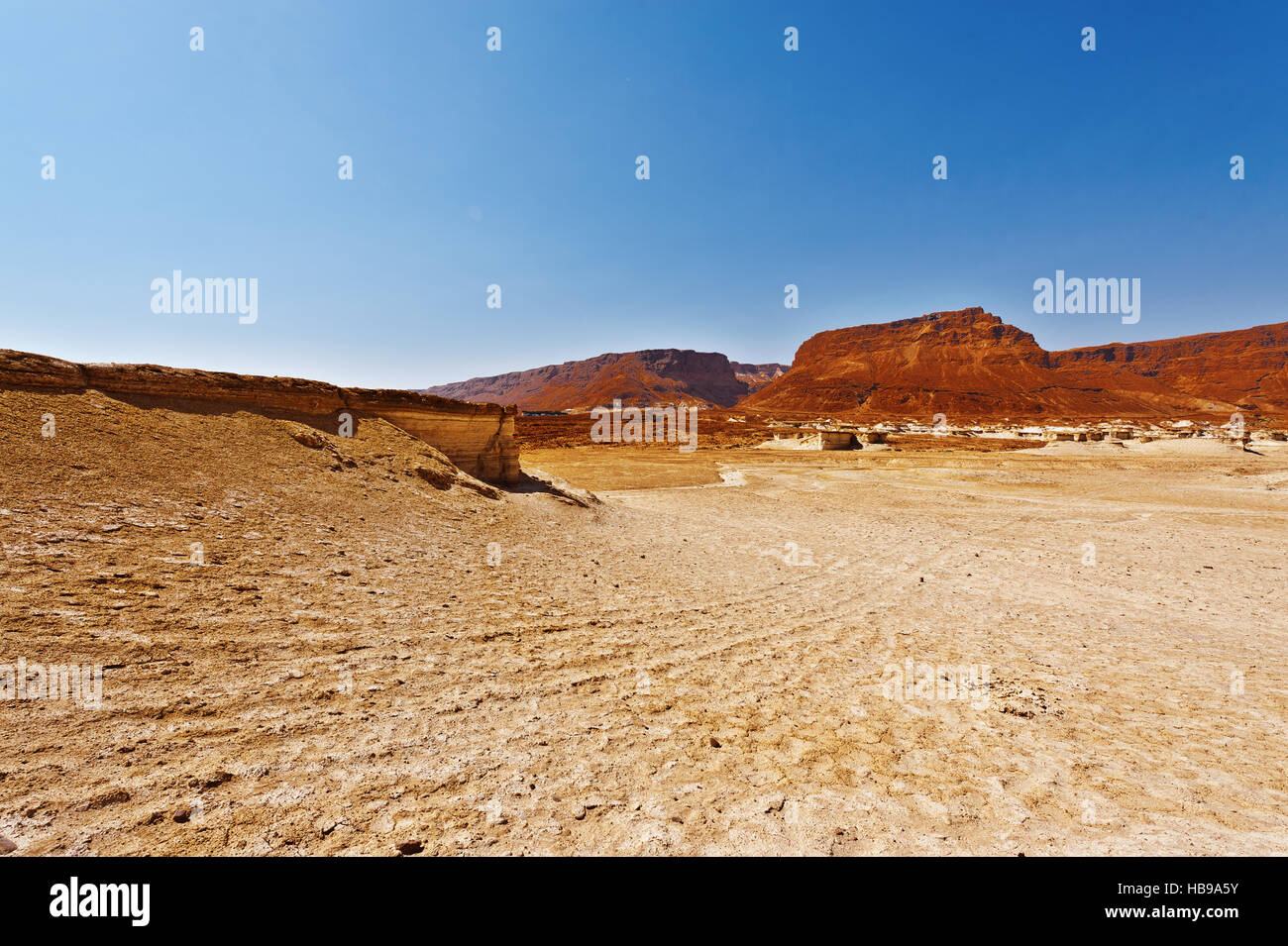 Judean desert nature reserve hi-res stock photography and images - Alamy