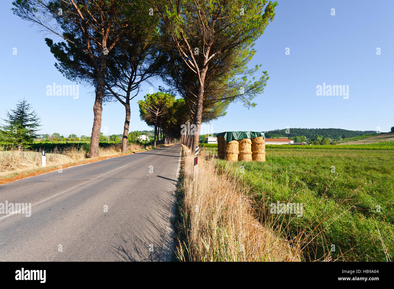 Stright road hi-res stock photography and images - Alamy