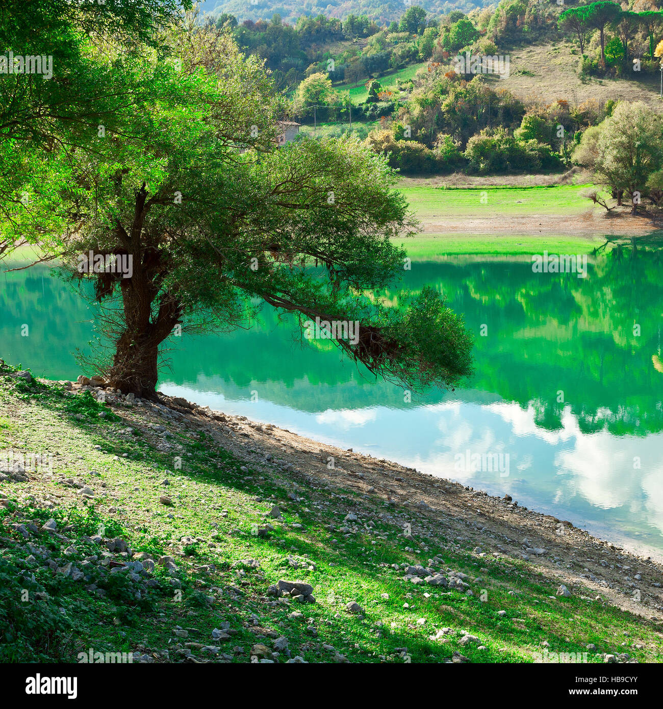 Shore of the Lake Stock Photo - Alamy