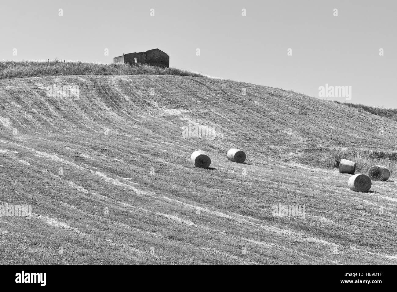 Hay Black and White Stock Photos & Images - Alamy