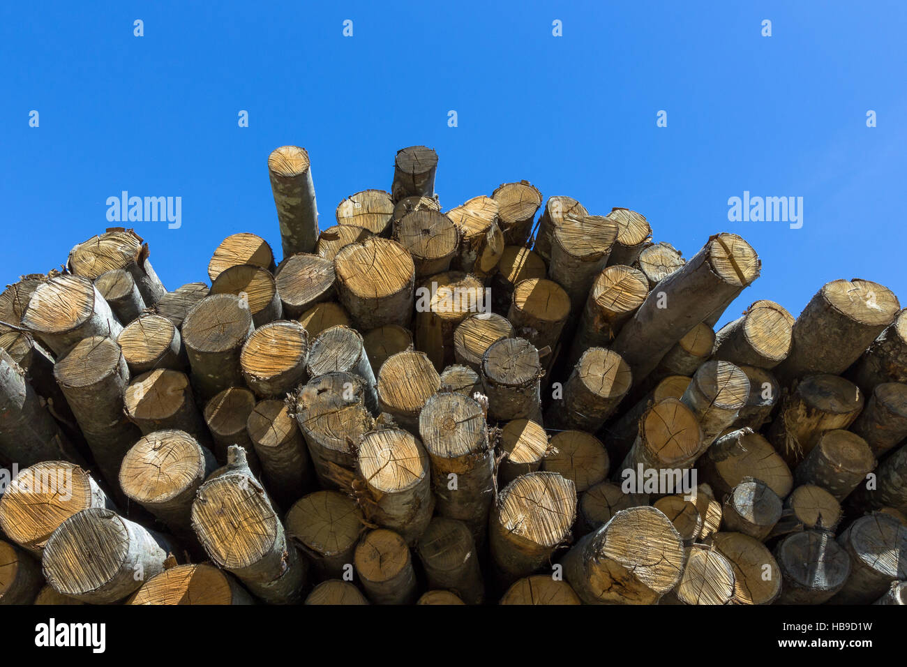 Pile of wood logs stacked Stock Photo - Alamy