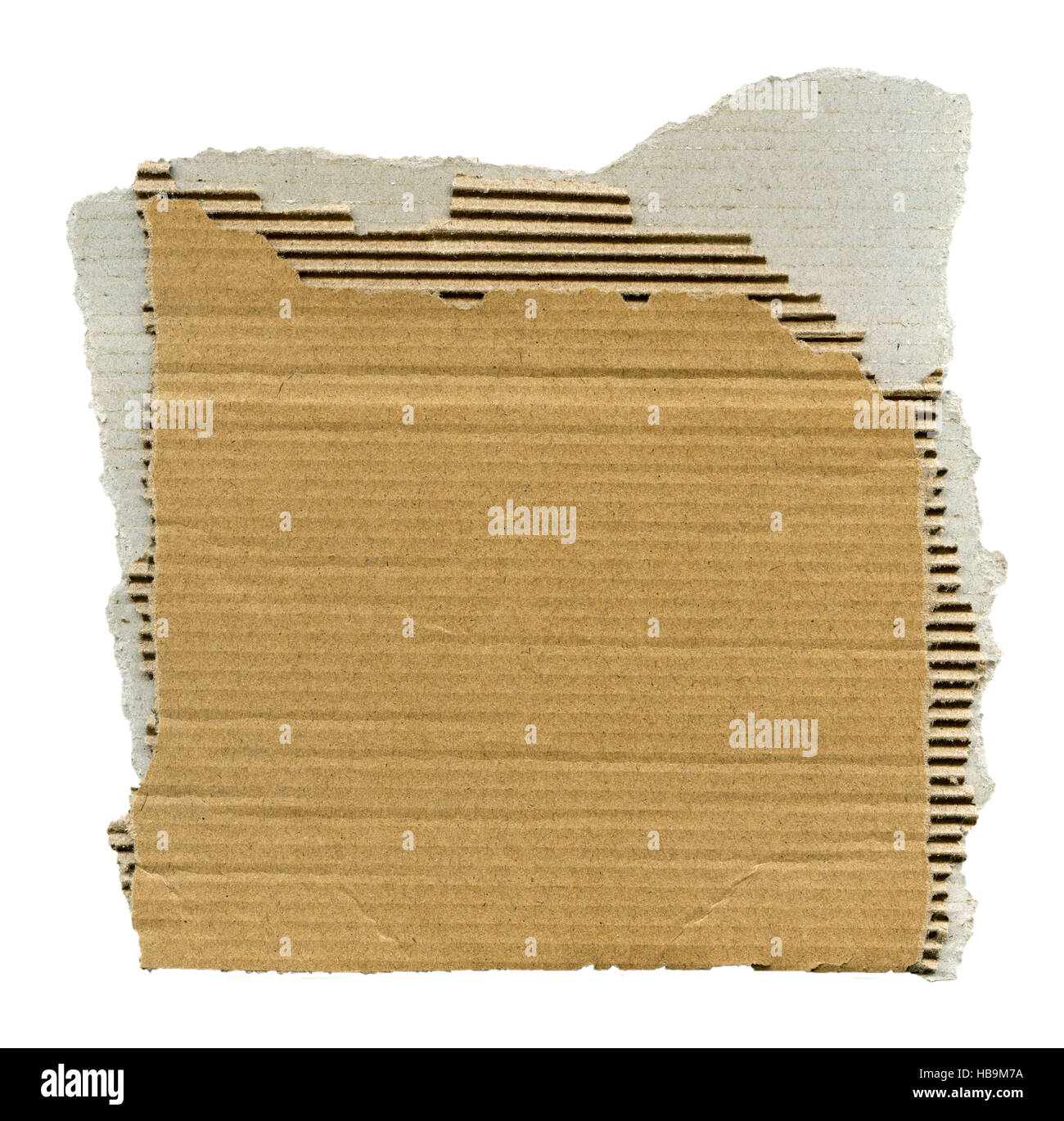 Torn cardboard isolated Stock Photo - Alamy