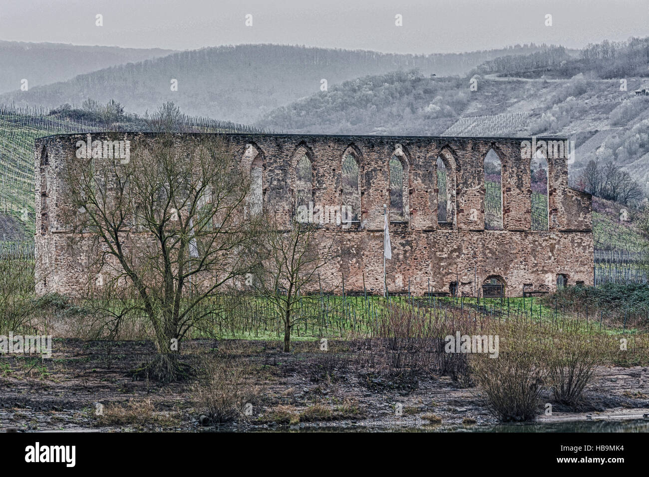 Ruins Monastery in bars, on the Moselle Stock Photo - Alamy
