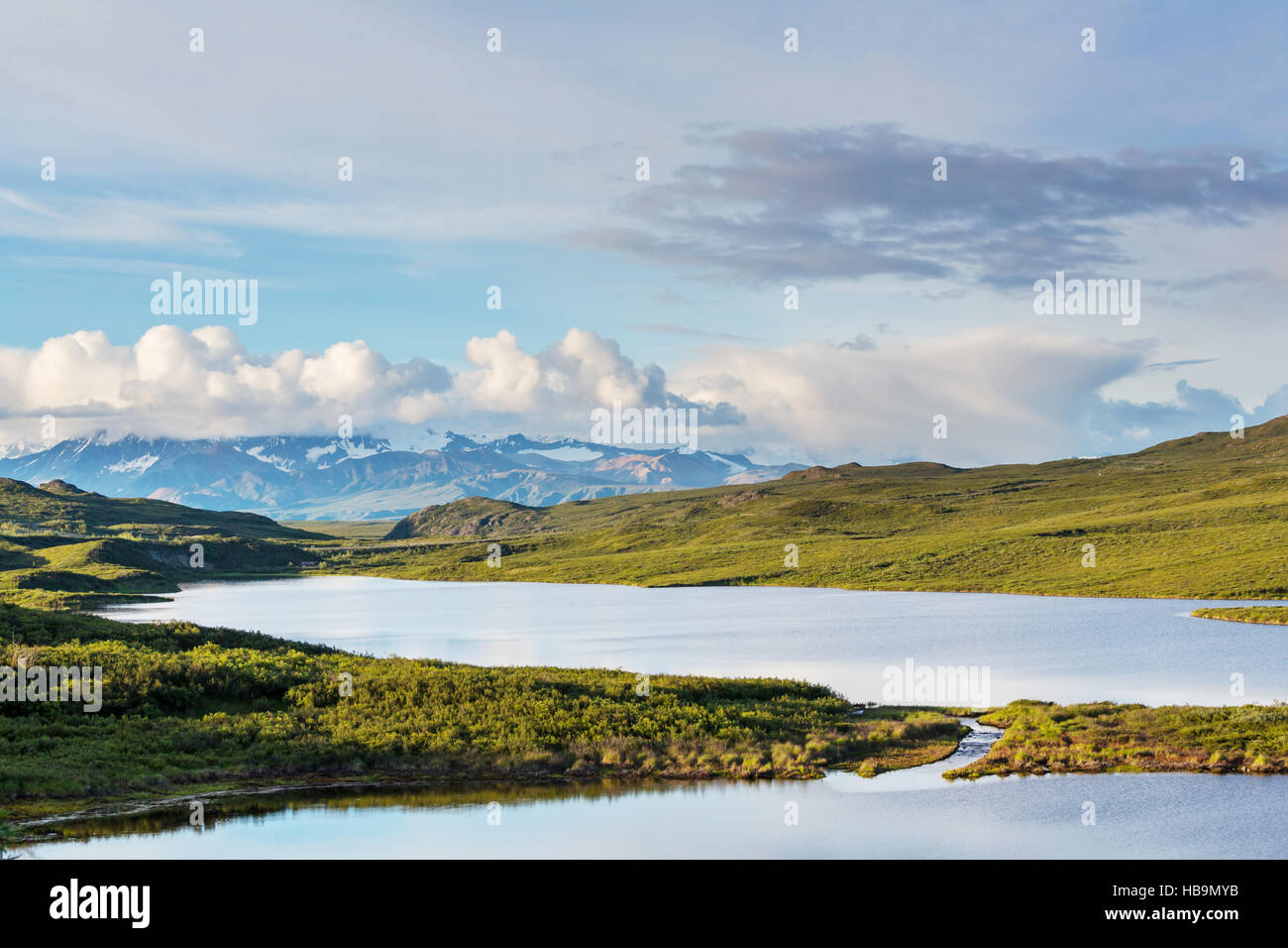Tundra arctic landscape alaska hi-res stock photography and images - Alamy