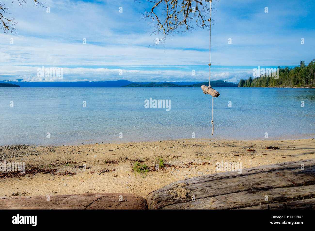 Wild swing hi-res stock photography and images - Alamy