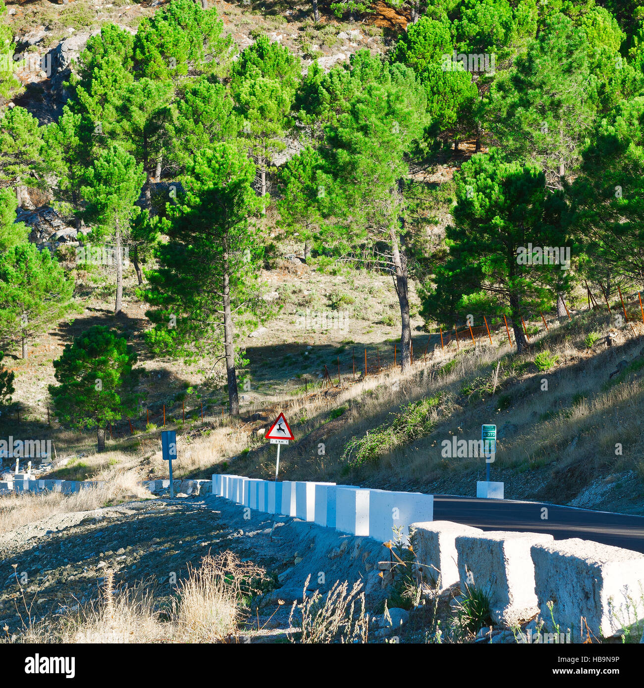 Winding Asphalt Road Stock Photo - Alamy