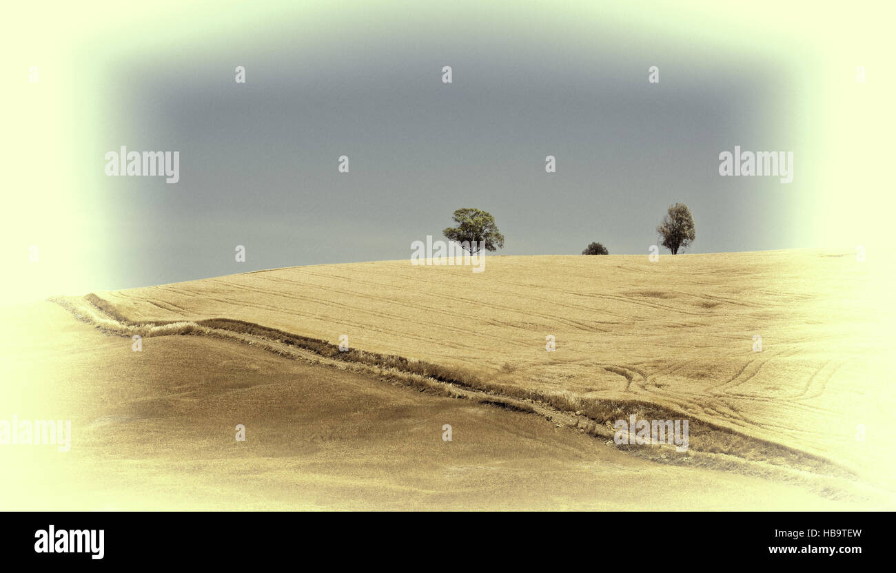 Black and white wheat fields hi-res stock photography and images - Alamy
