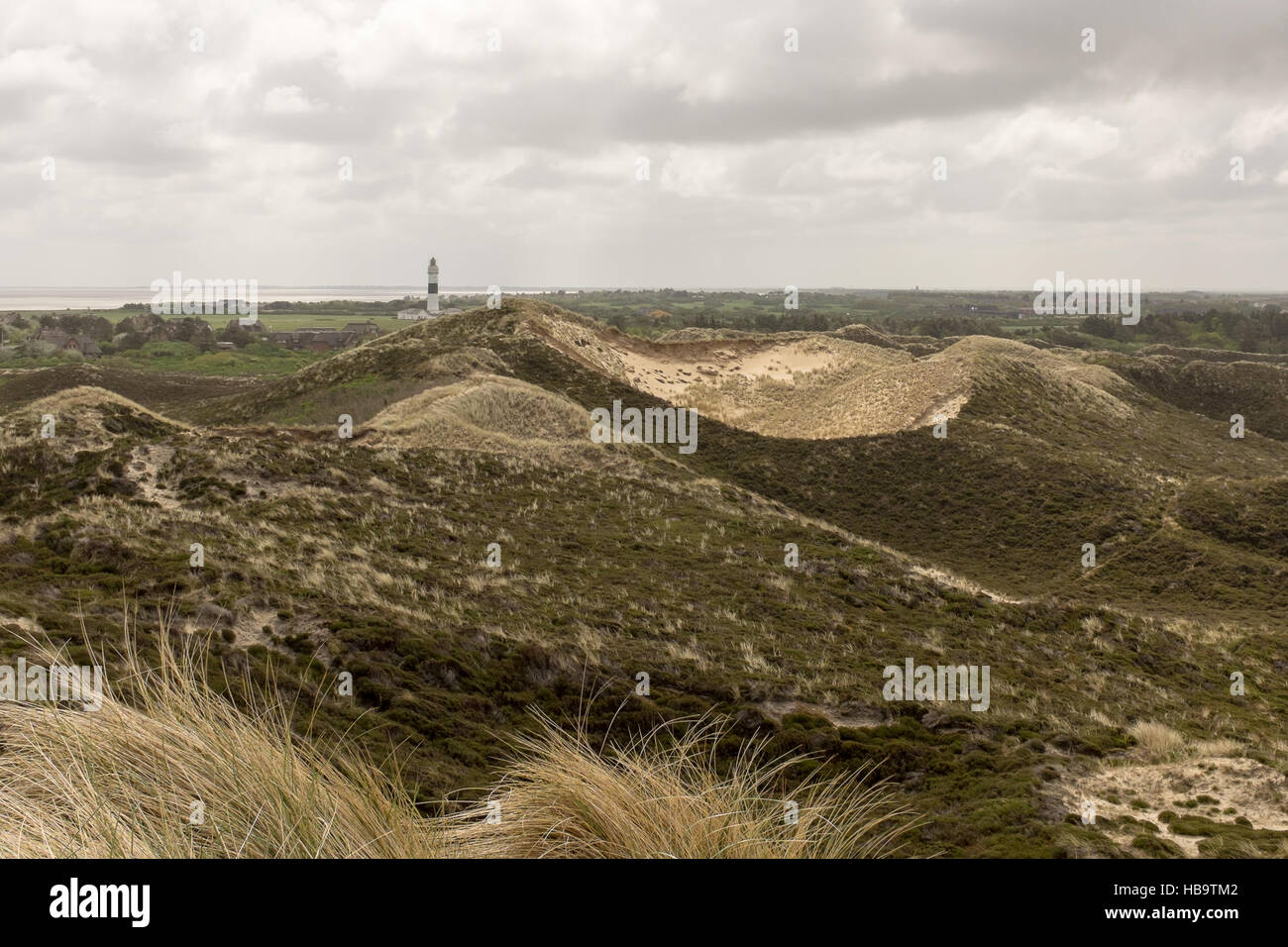 Sandspur hi-res stock photography and images - Alamy