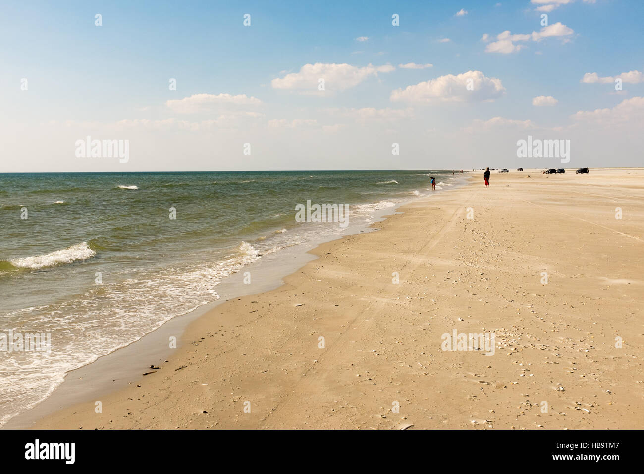 Sandspur hi-res stock photography and images - Alamy