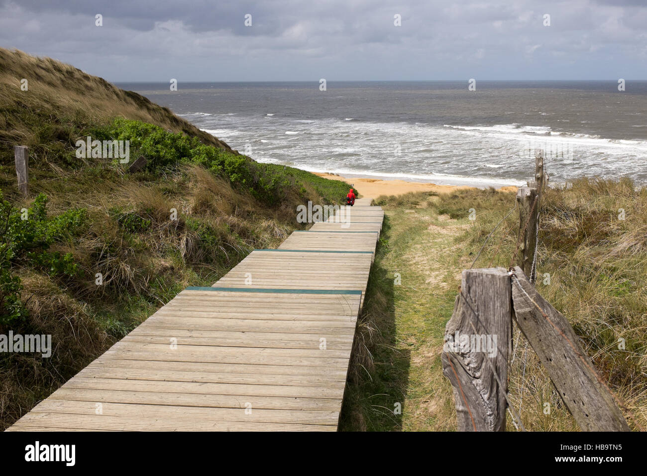 Sandspur hi-res stock photography and images - Alamy