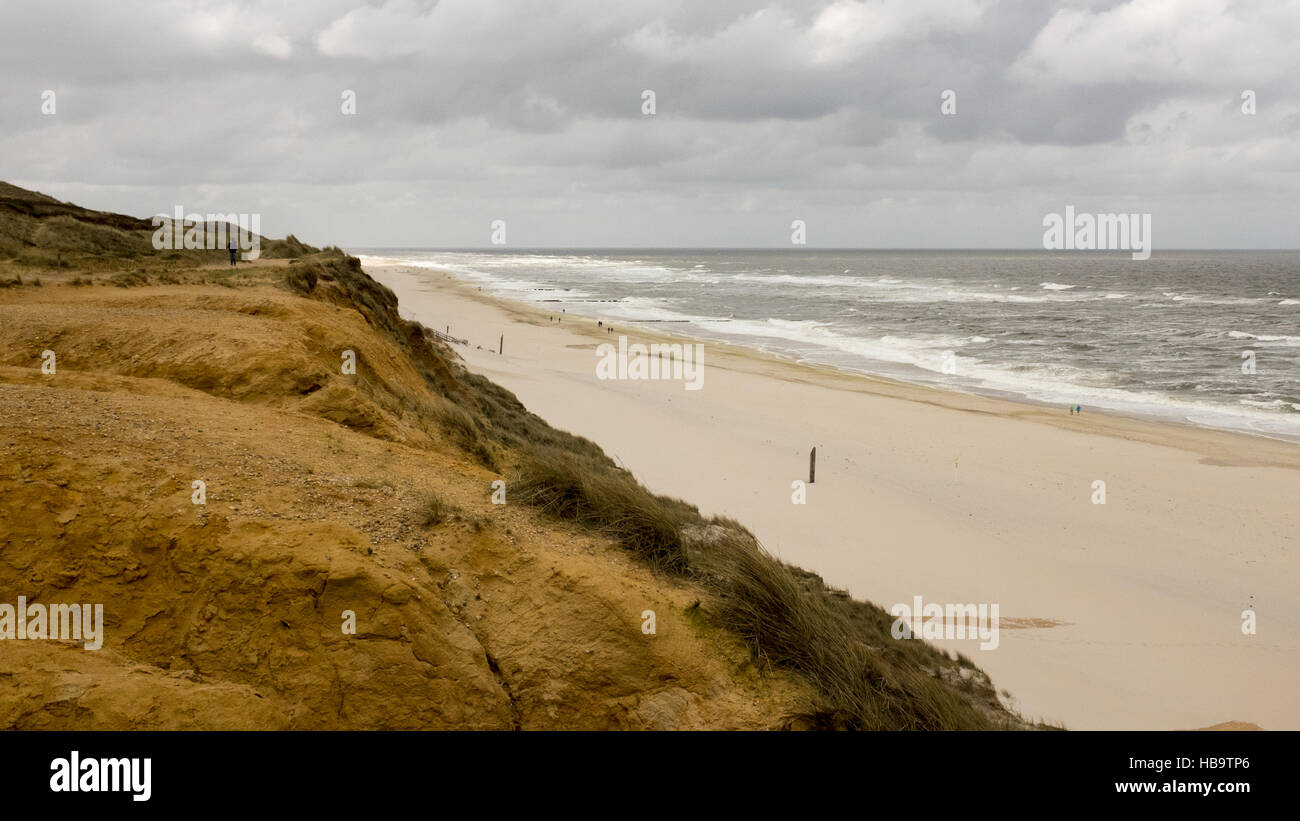 Spur im strand hi-res stock photography and images - Alamy