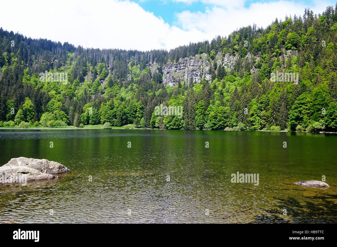 Feldsee lake hi-res stock photography and images - Alamy