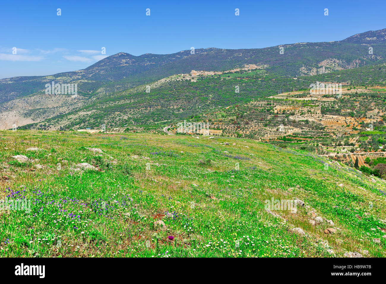 Grove heights hi-res stock photography and images - Alamy