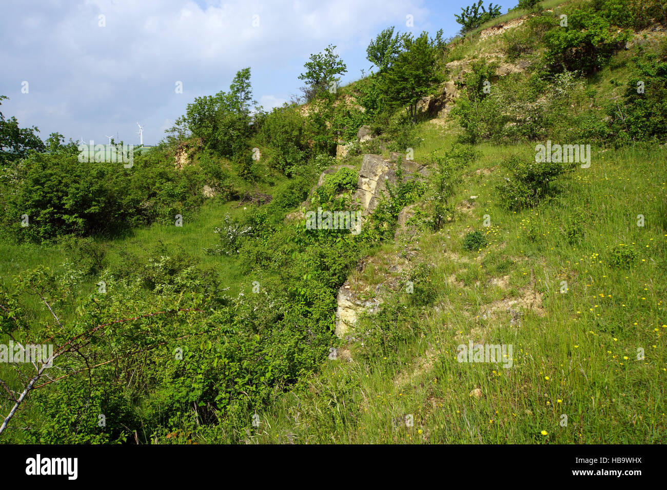Semi grassland hi-res stock photography and images - Alamy