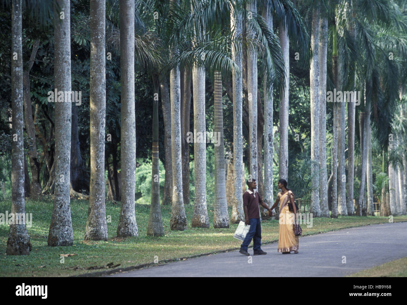 SRI LANKA KANDY GARDEN PARK Stock Photo - Alamy