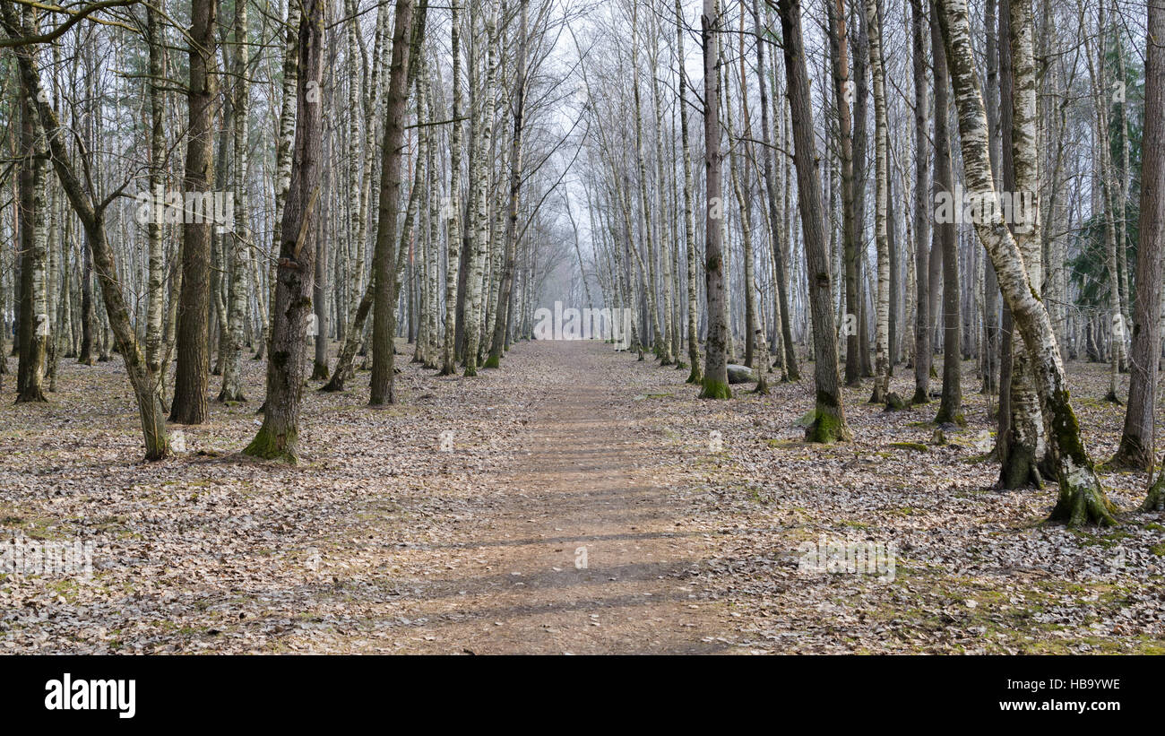 Spring landscape in lush hi-res stock photography and images - Alamy