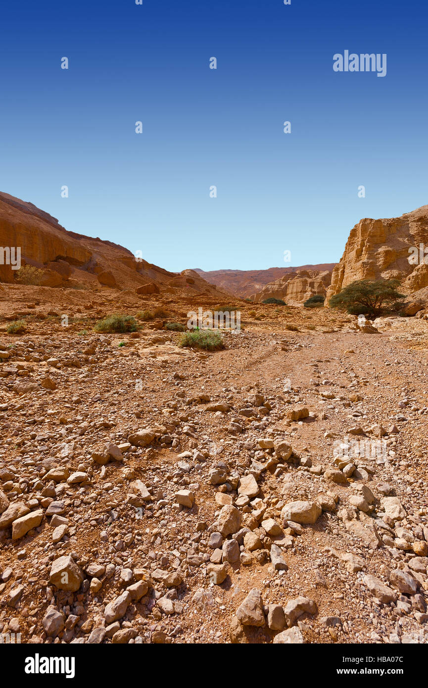 Desert in Israel Stock Photo - Alamy