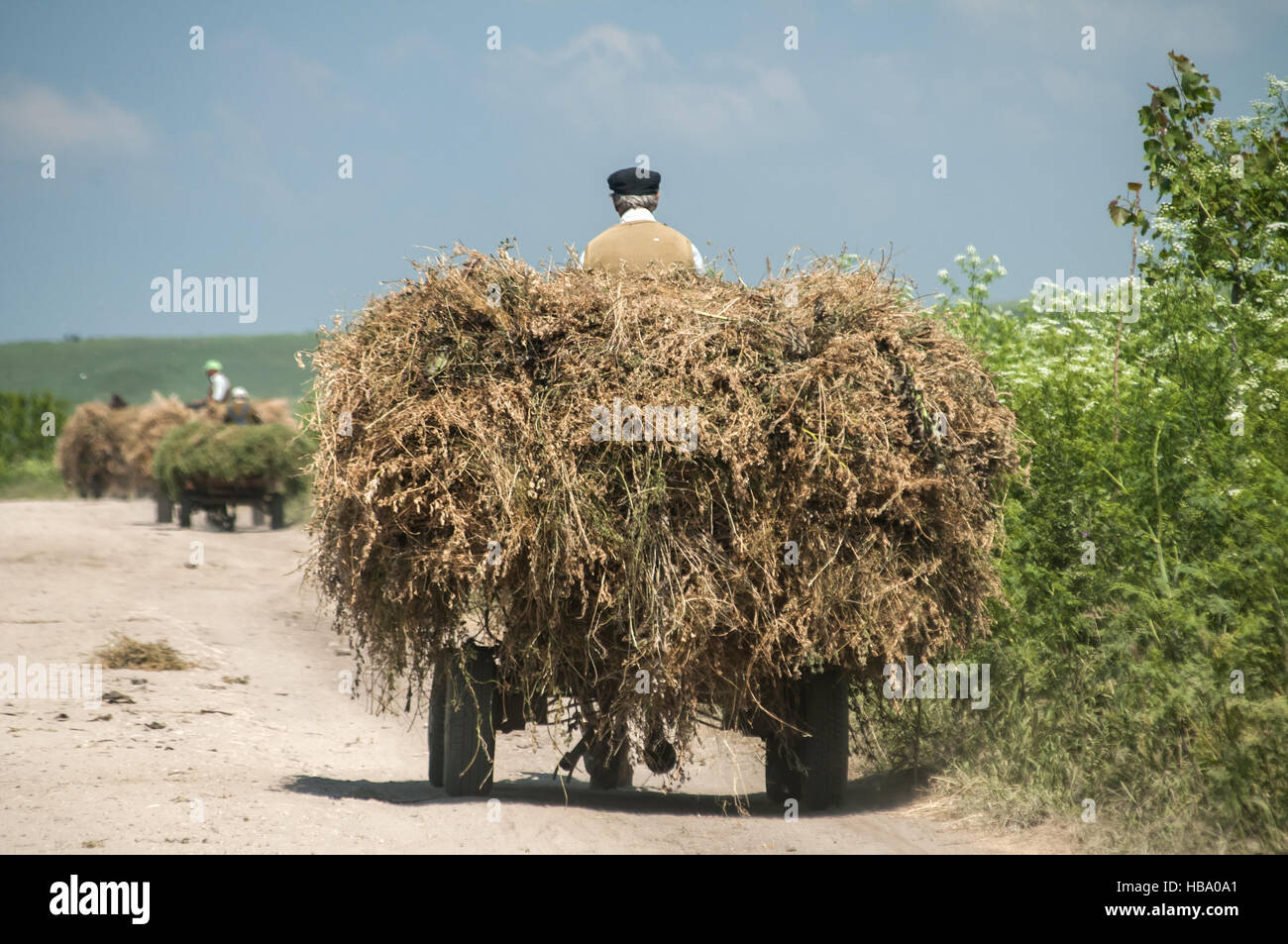 Hay carts hi-res stock photography and images - Alamy