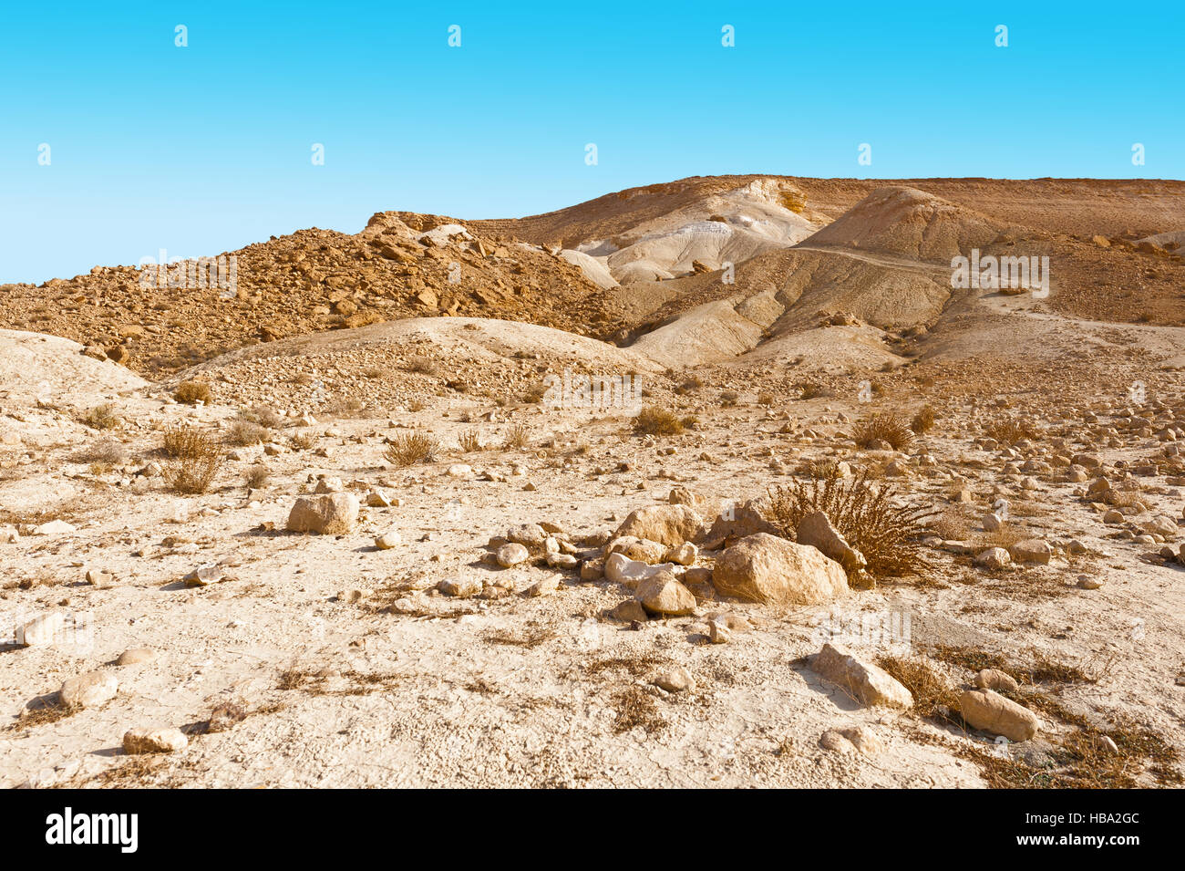 Desert in Israel Stock Photo - Alamy