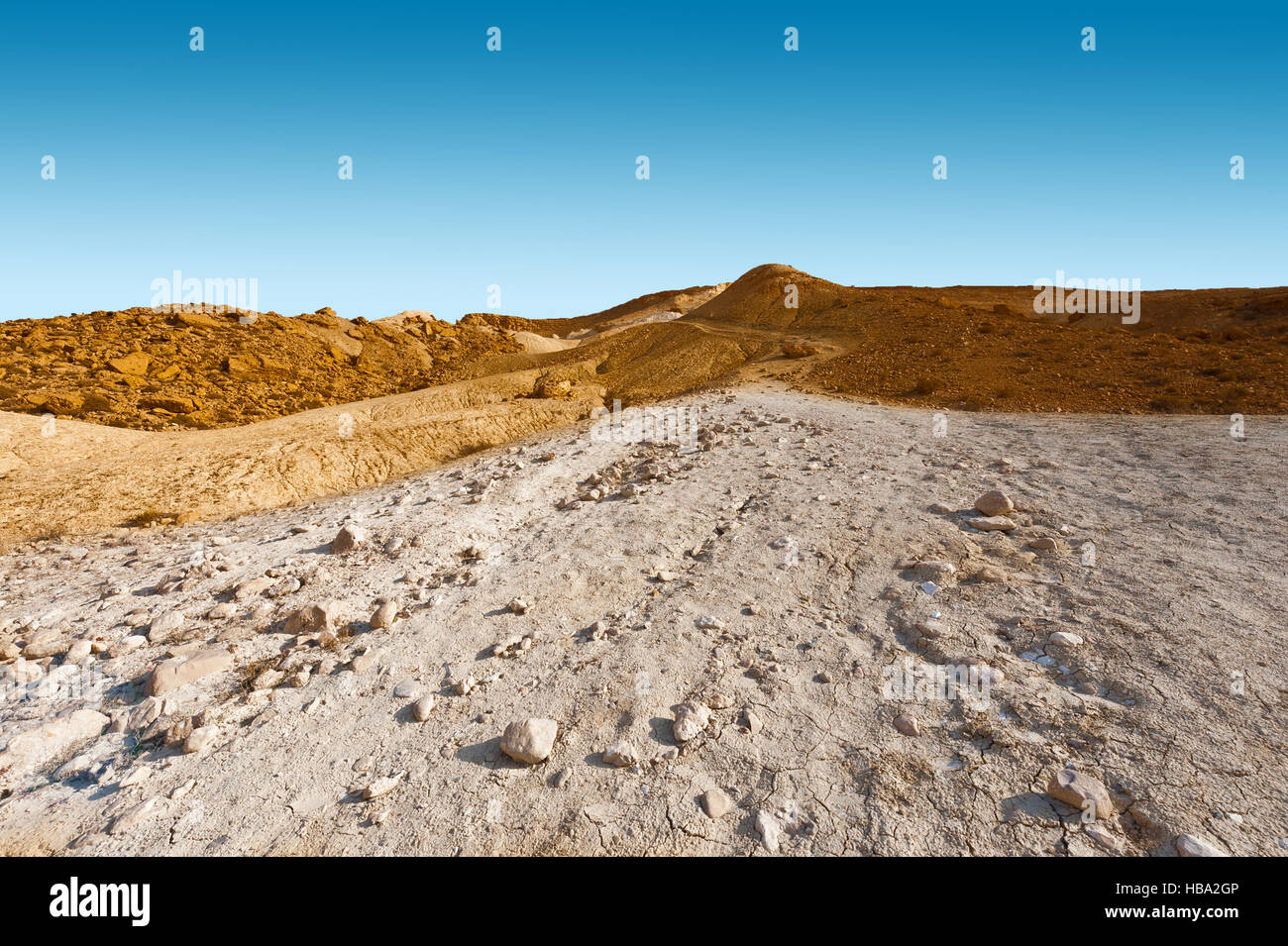 Desert in Israel Stock Photo - Alamy