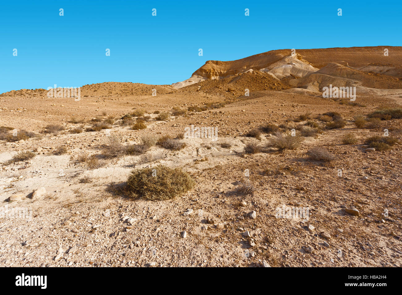 Desert in Israel Stock Photo - Alamy