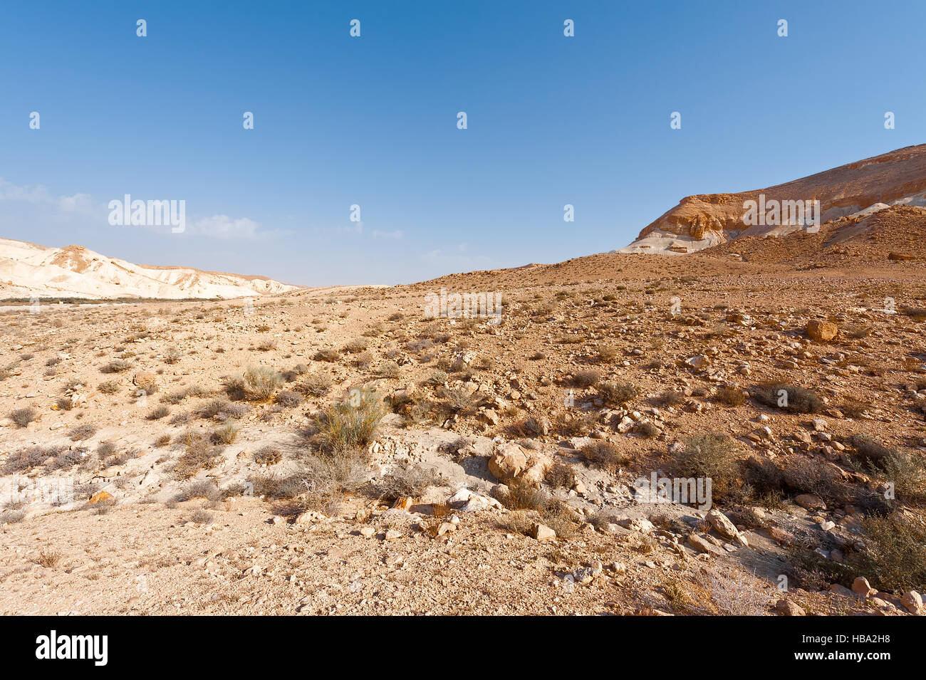 Desert in Israel Stock Photo - Alamy
