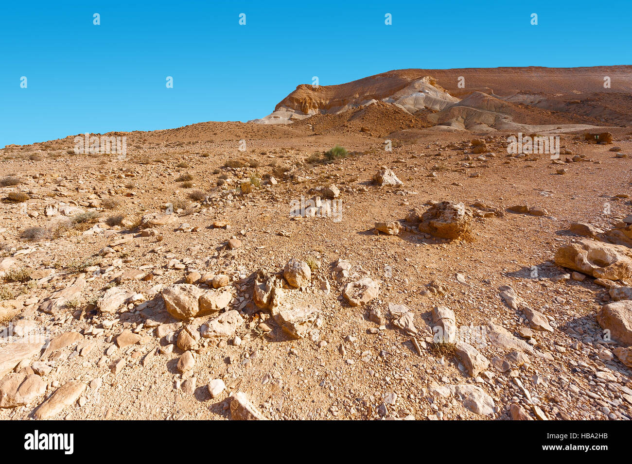 Desert in Israel Stock Photo - Alamy