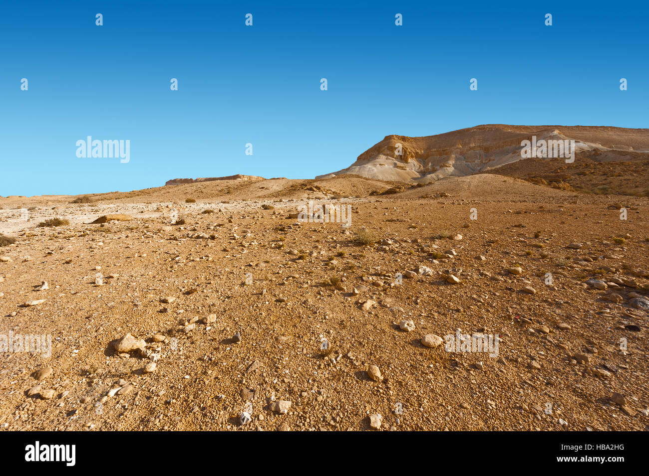 Desert in Israel Stock Photo - Alamy