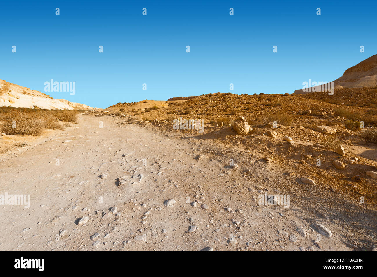 Desert in Israel Stock Photo - Alamy