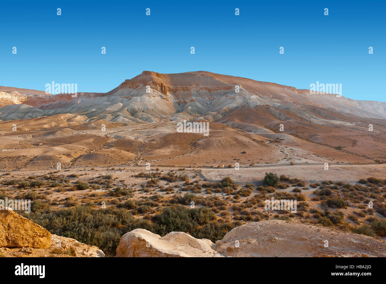 Desert in Israel Stock Photo - Alamy