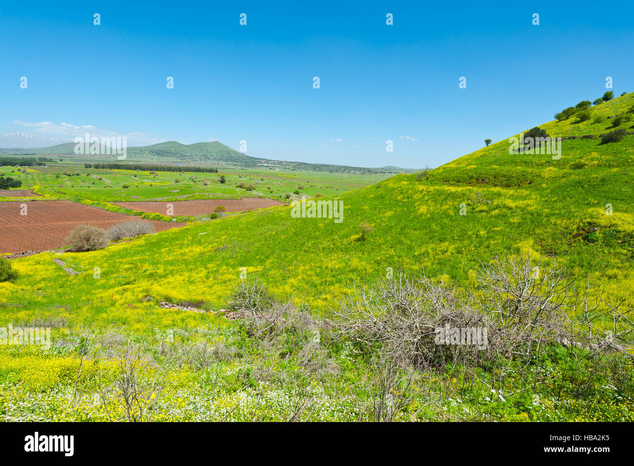 Golan heights hi-res stock photography and images - Alamy