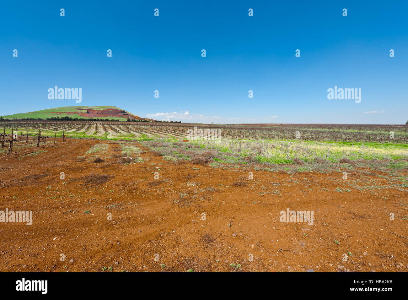 Golan heights hi-res stock photography and images - Alamy