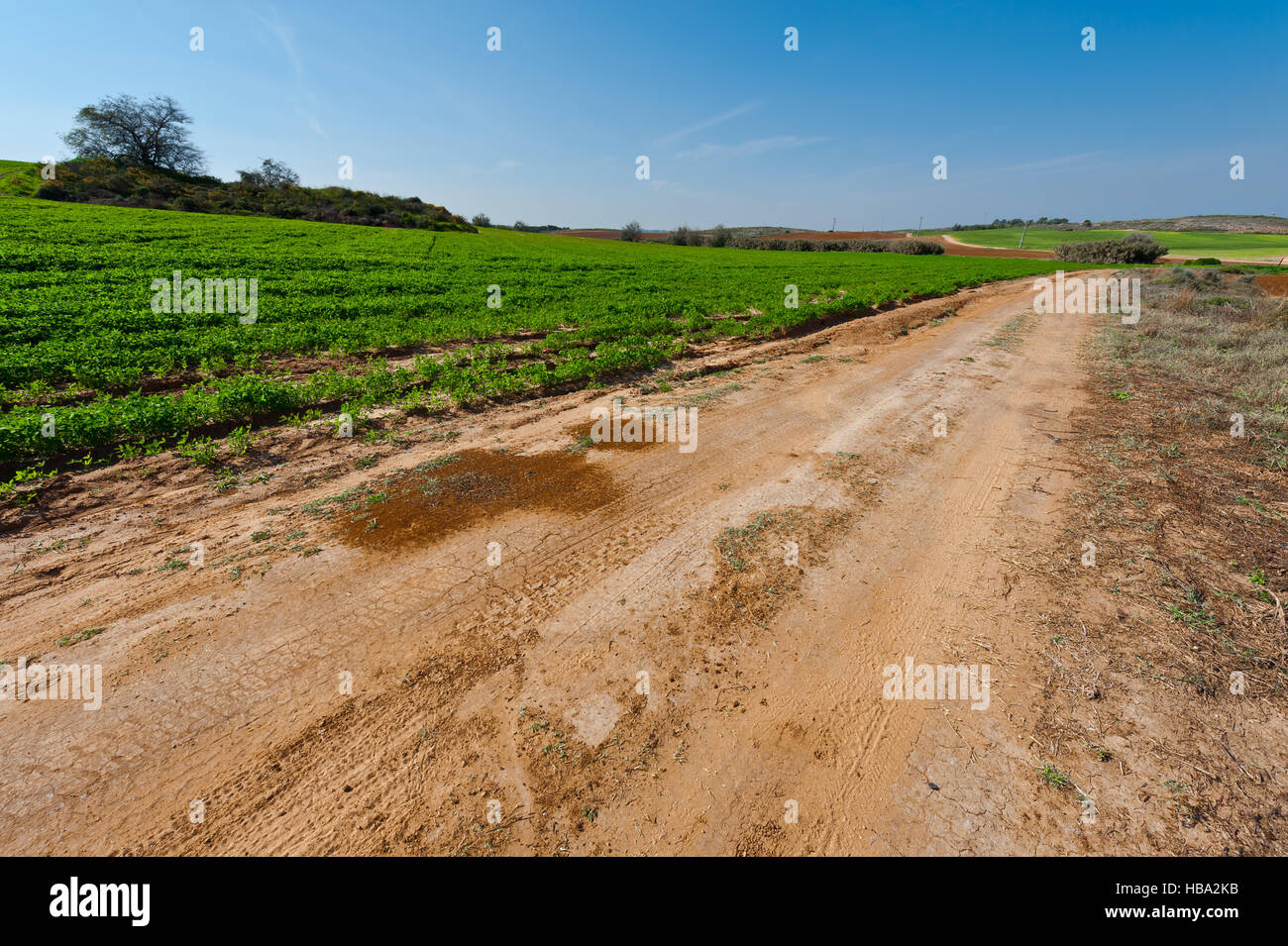 Spring landscape earth road hi-res stock photography and images - Alamy