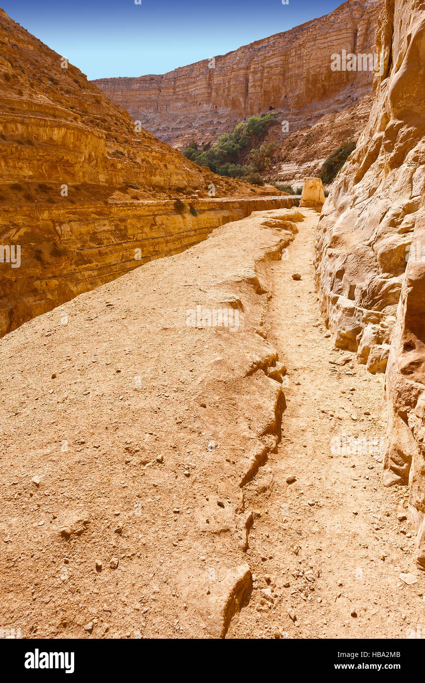 Canyon in Desert Stock Photo - Alamy