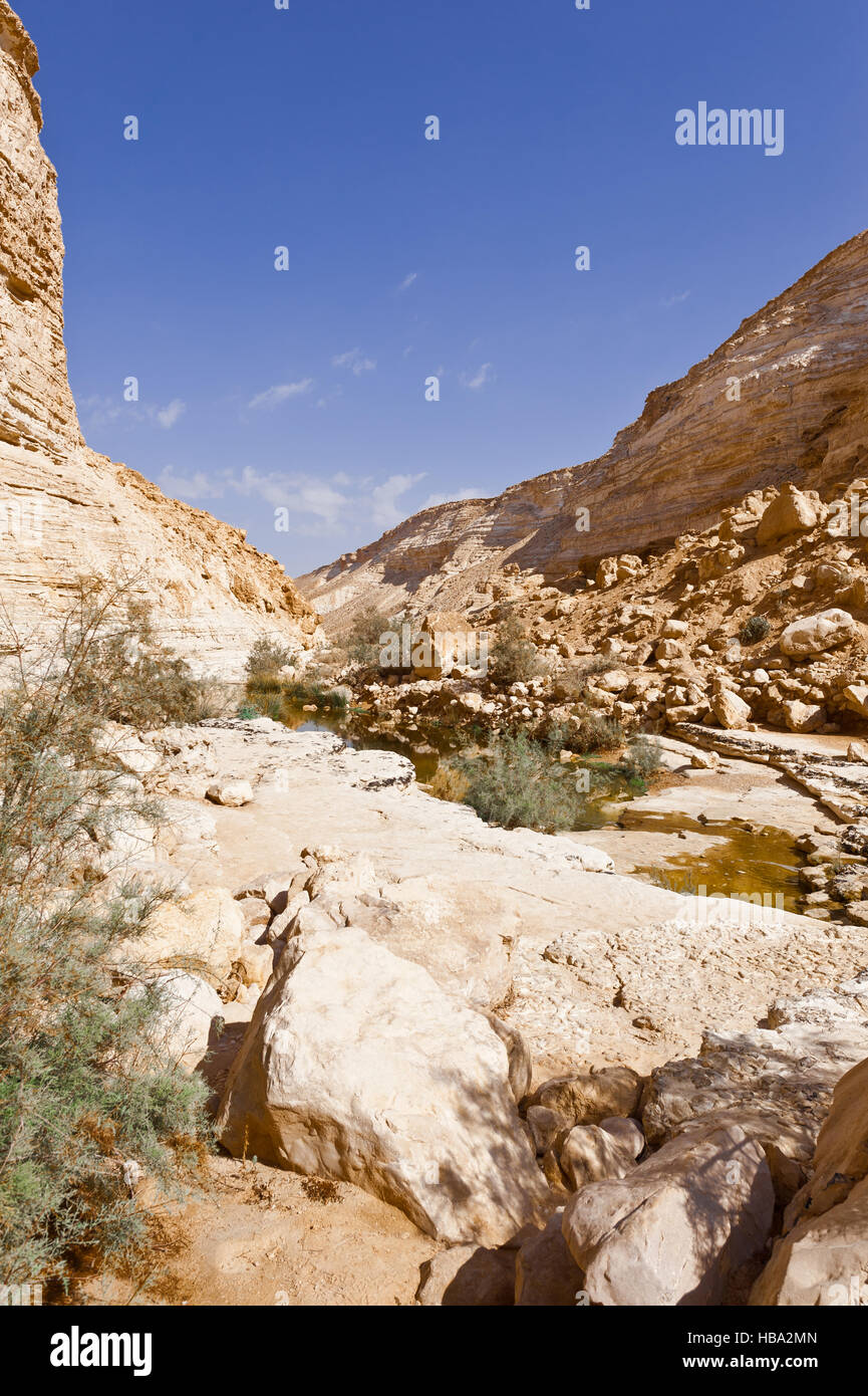 Canyon in Desert Stock Photo - Alamy