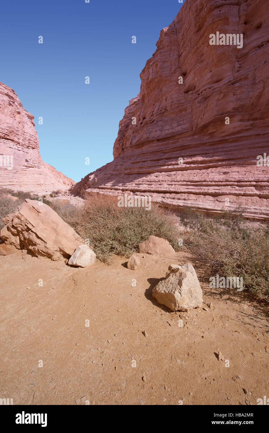 Canyon in Desert Stock Photo - Alamy