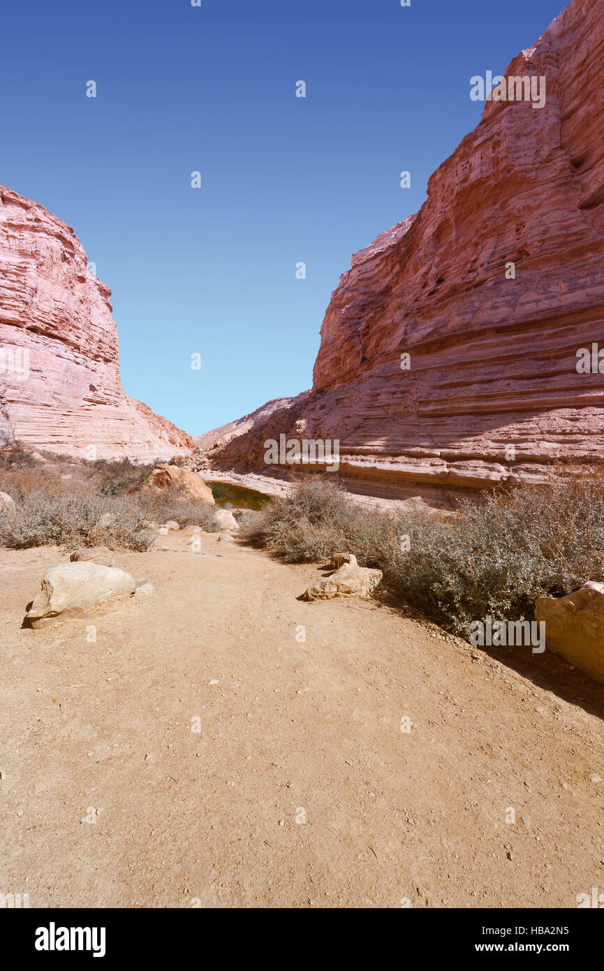 Canyon in Desert Stock Photo - Alamy