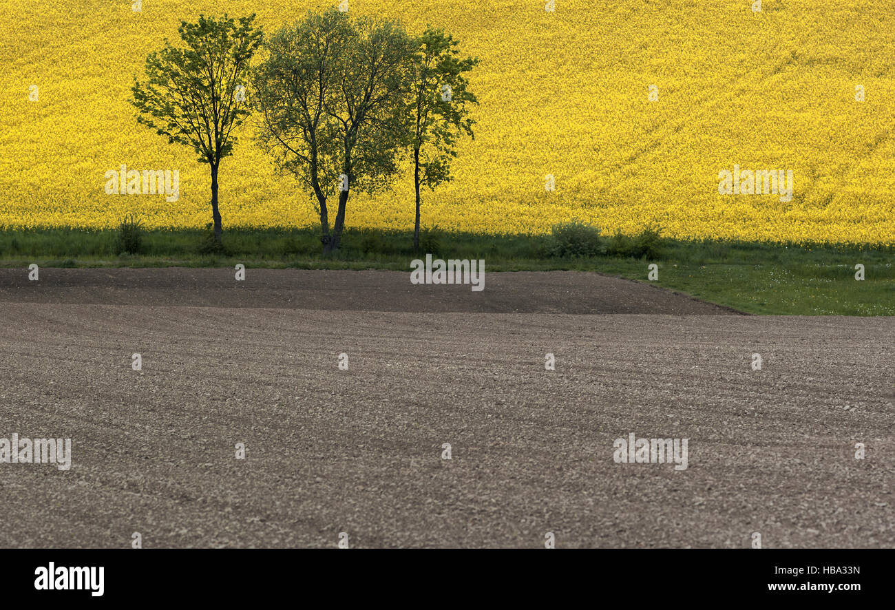 Colours of the fields Stock Photo - Alamy