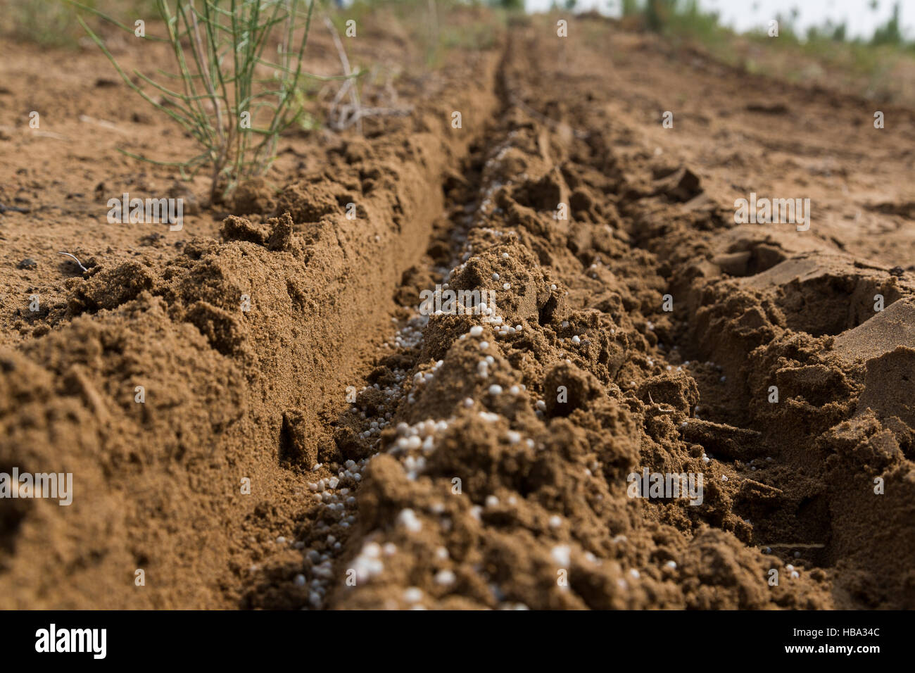 Desert farming hi-res stock photography and images - Alamy