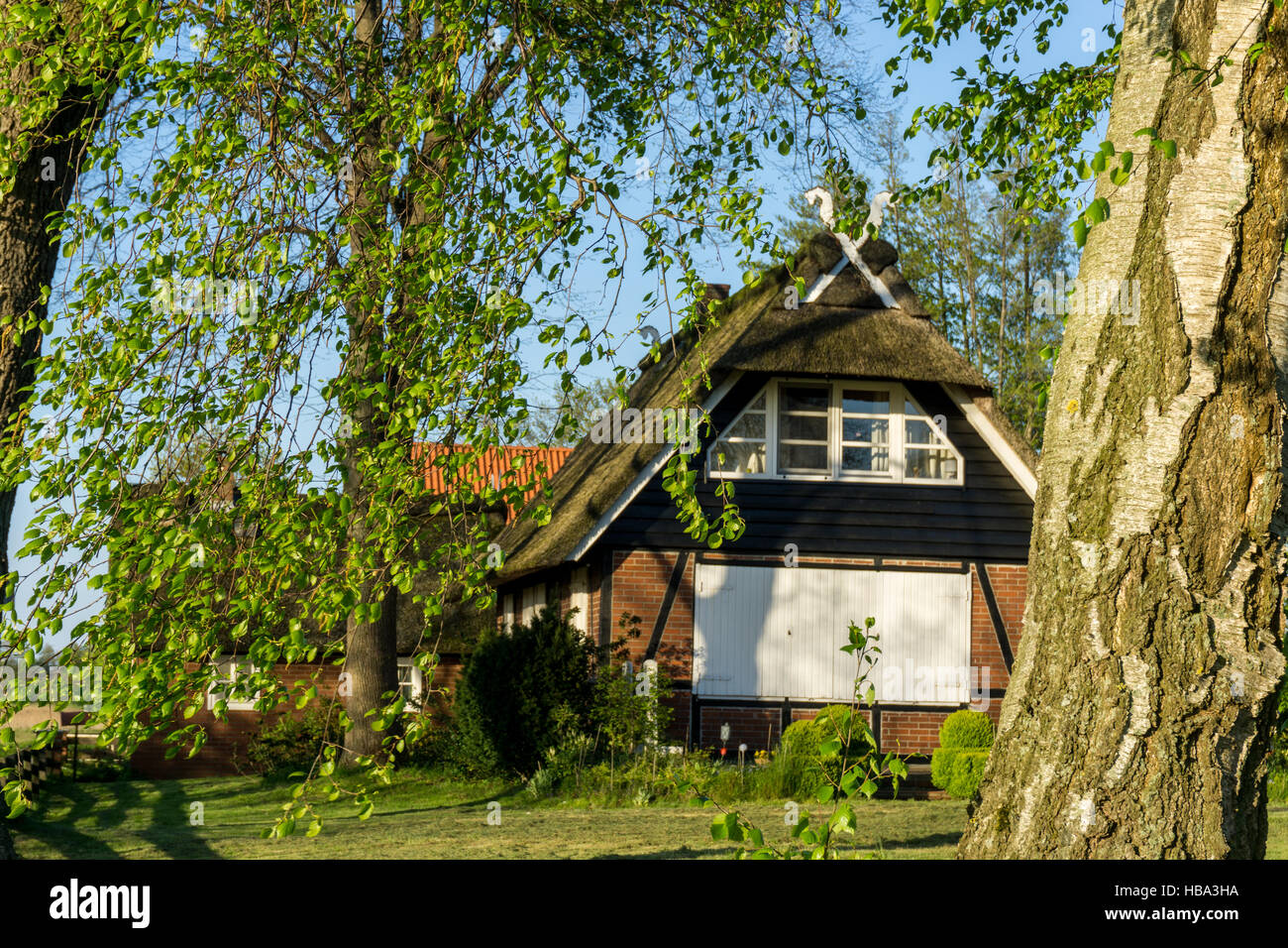 Landscape at the Dümmer lake Stock Photo - Alamy