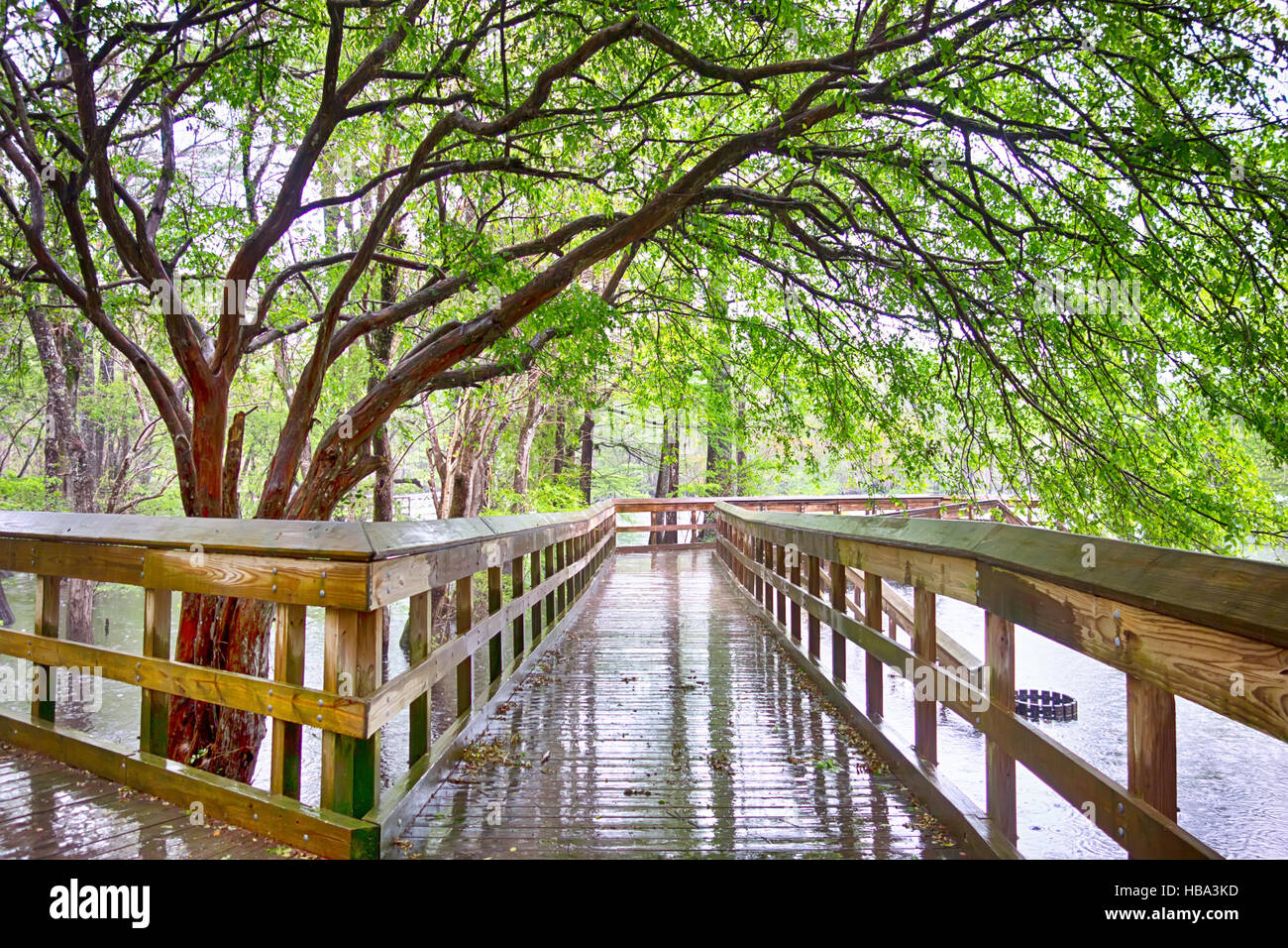 public park at morrison springs floridaa Stock Photo - Alamy