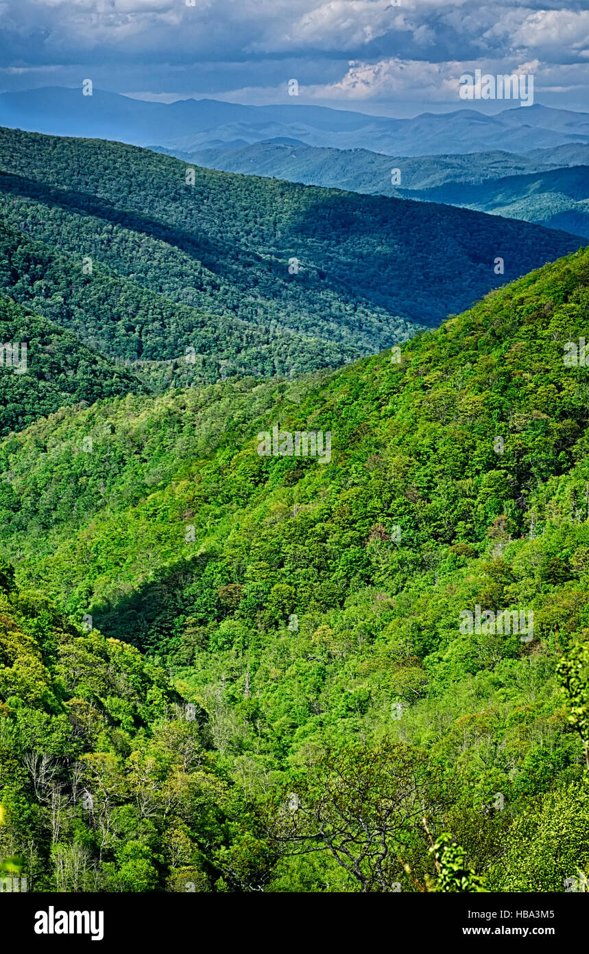 springtime in the blue ridge mountains Stock Photo - Alamy