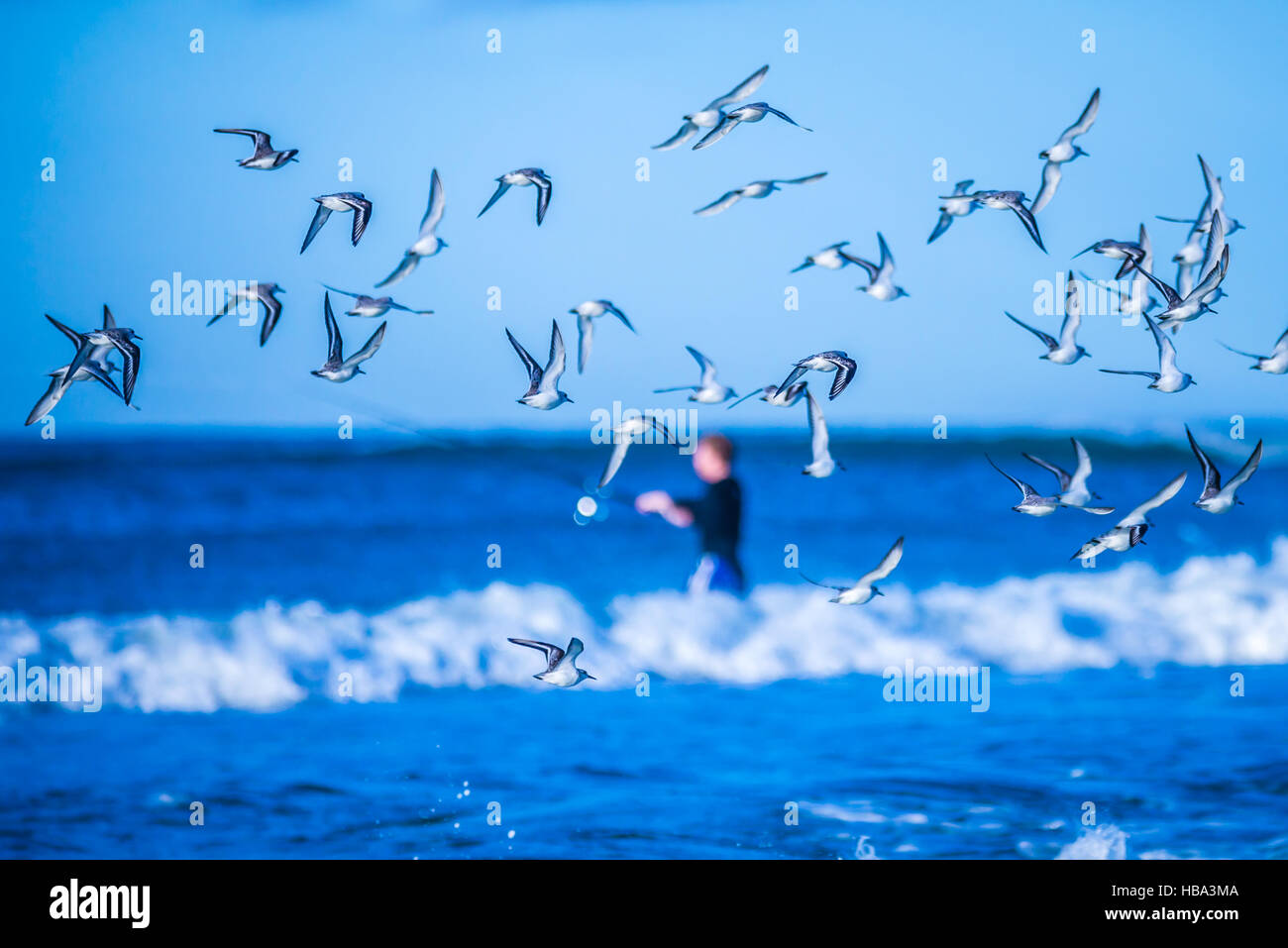 morning sunrise over ocean waters Stock Photo - Alamy